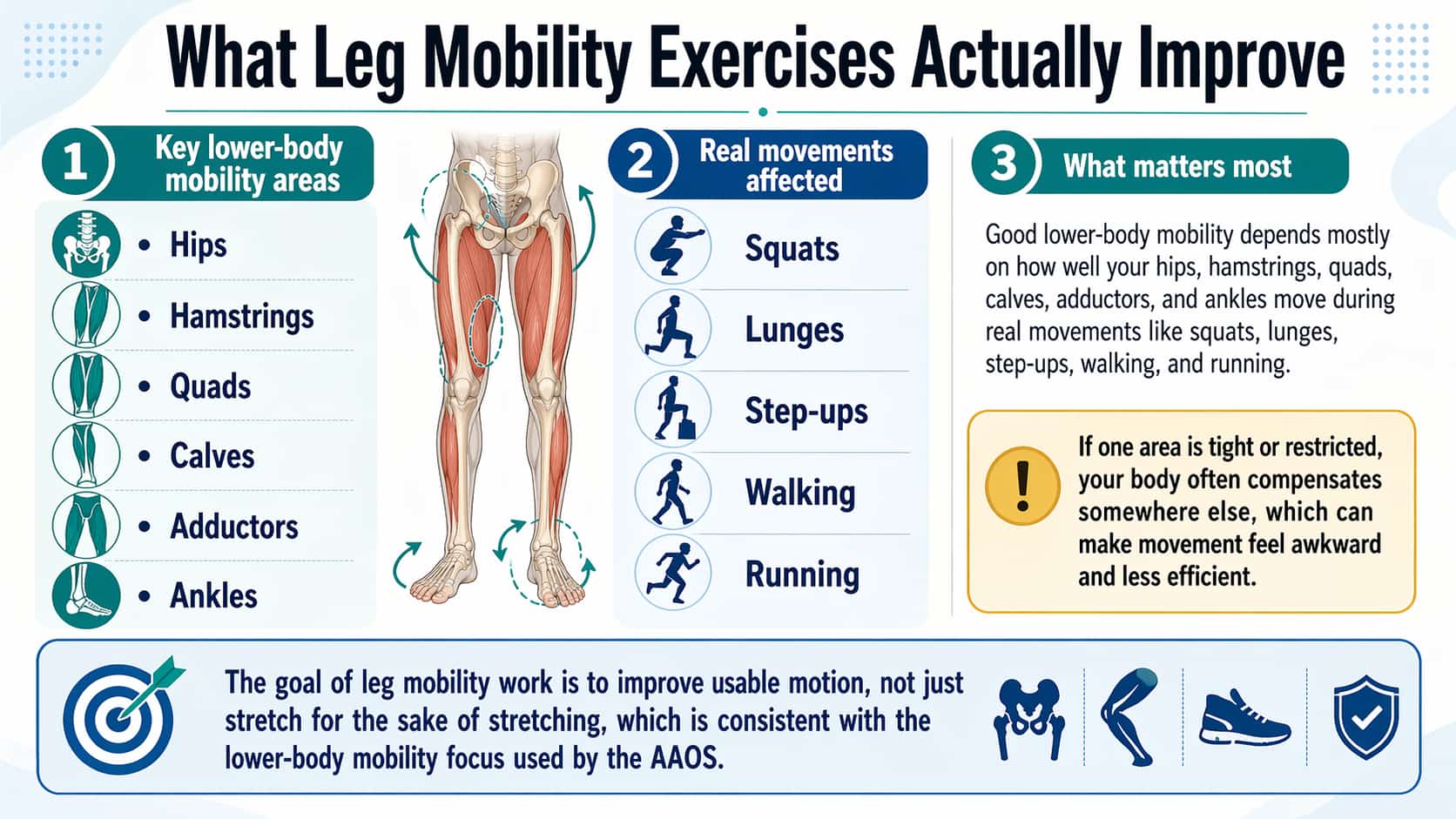 12 Best Leg Mobility Exercises to Improve Flexibility & Movement